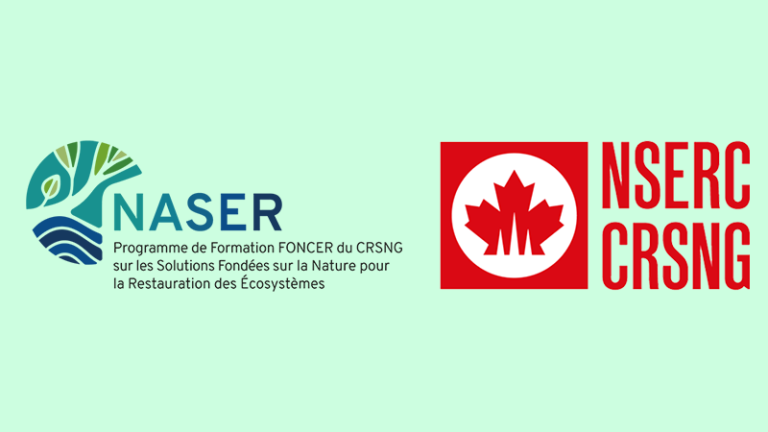 École d’été NASER 2026 – NASER
